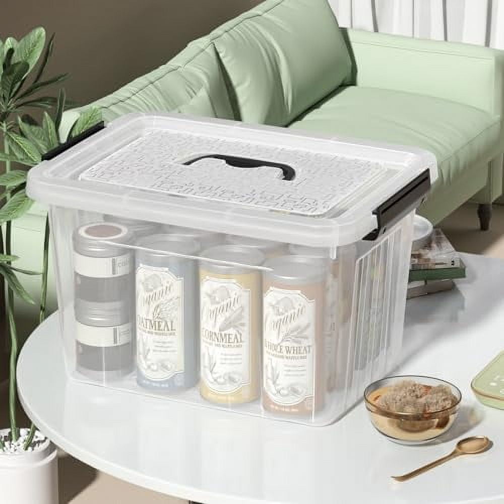 Pekky 20 L Plastic Storage Box with Handle, 4-Pack Clear Latching ...