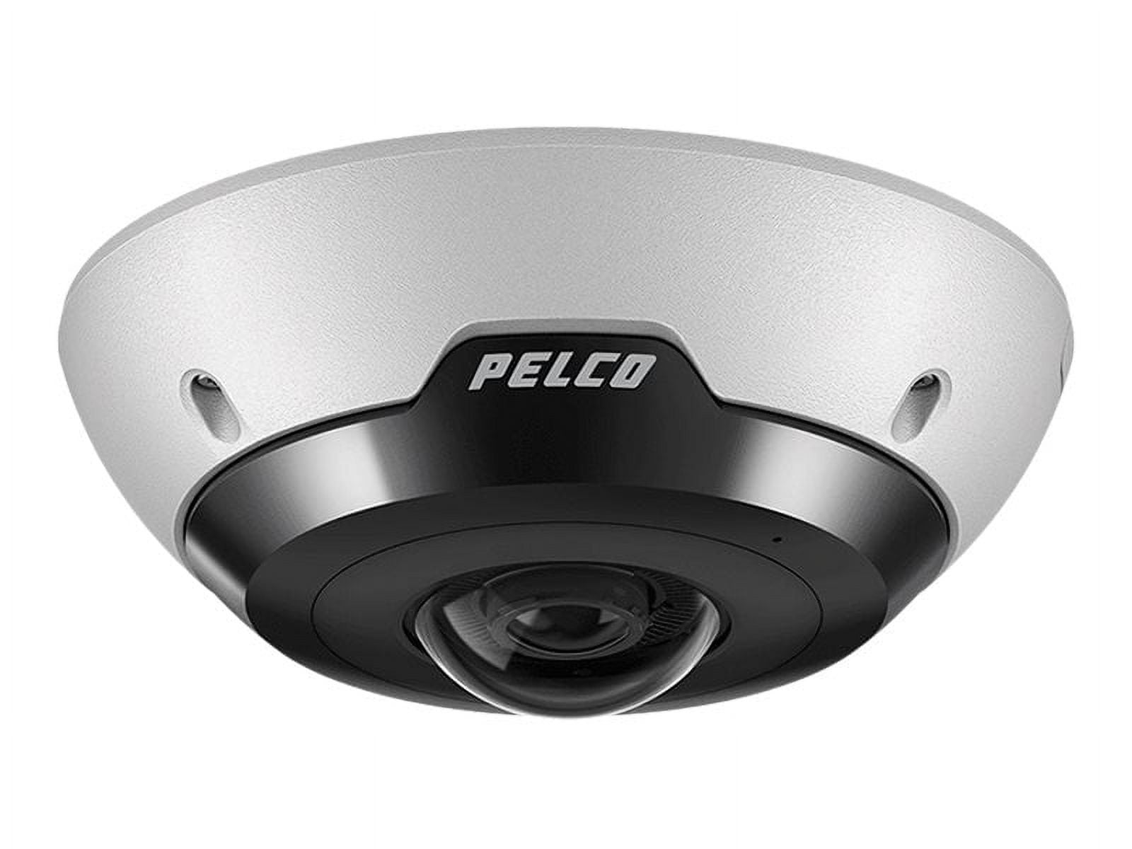 Pelco Cameras