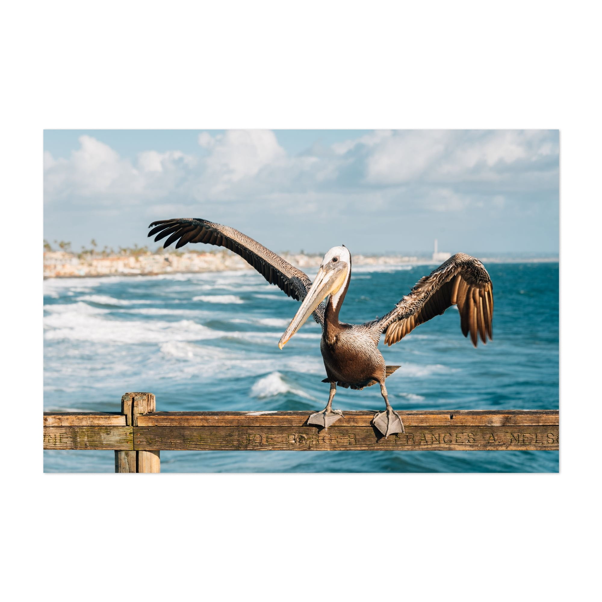 Pelican, Oceanside 02 - Oceanside California Photography Bird Coast ...