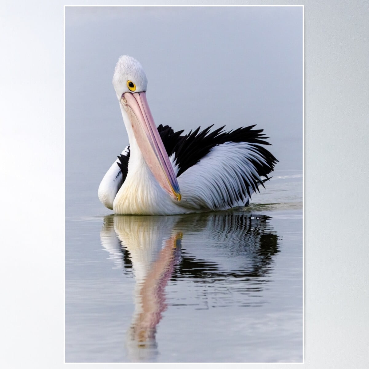 Pelican Poster Wall Art, Modern Wall Decor For Living Room Bedroom ...
