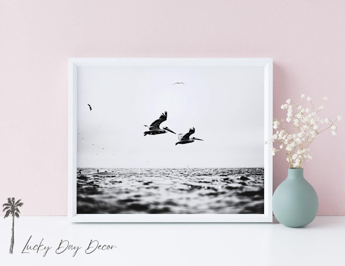 Pelicans Flying Sea Bird Photography Ocean Mammal Lovers Monochrome Sea ...