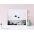 Pelicans Flying Sea Bird Photography Ocean Mammal Lovers Monochrome Sea ...