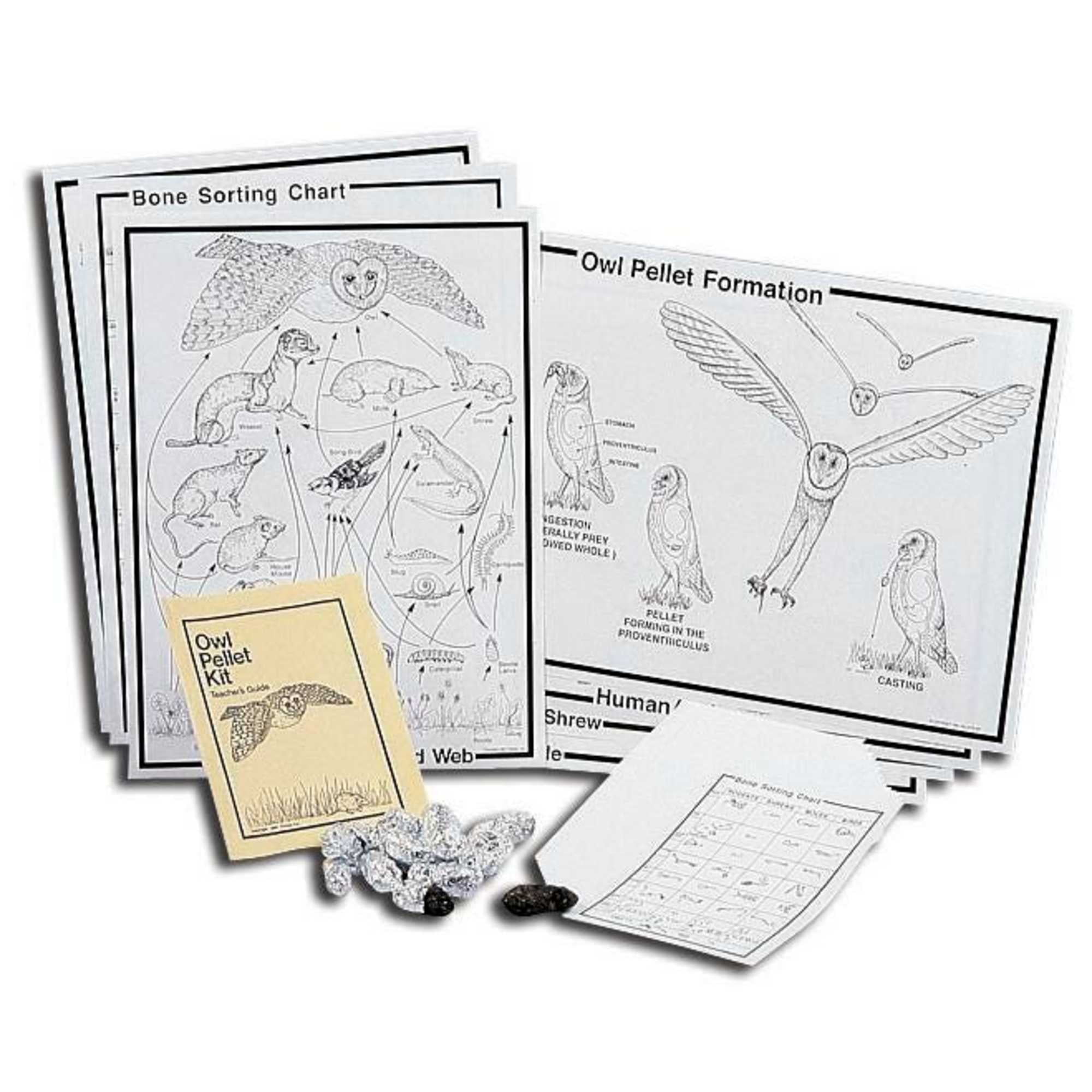 Pellets Inc Deluxe Classroom Owl Pellet Kit - Walmart.com