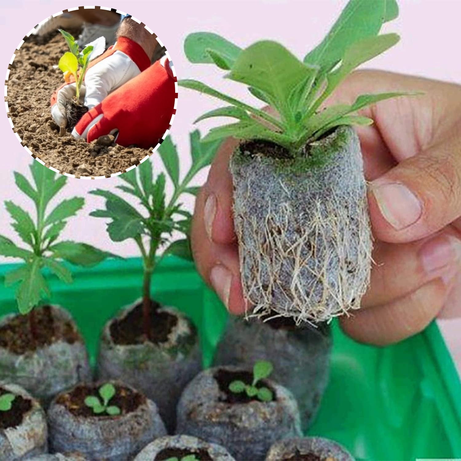 Pellets Starting Plugs Pallet Seedling So il Block Easy to Operate ...