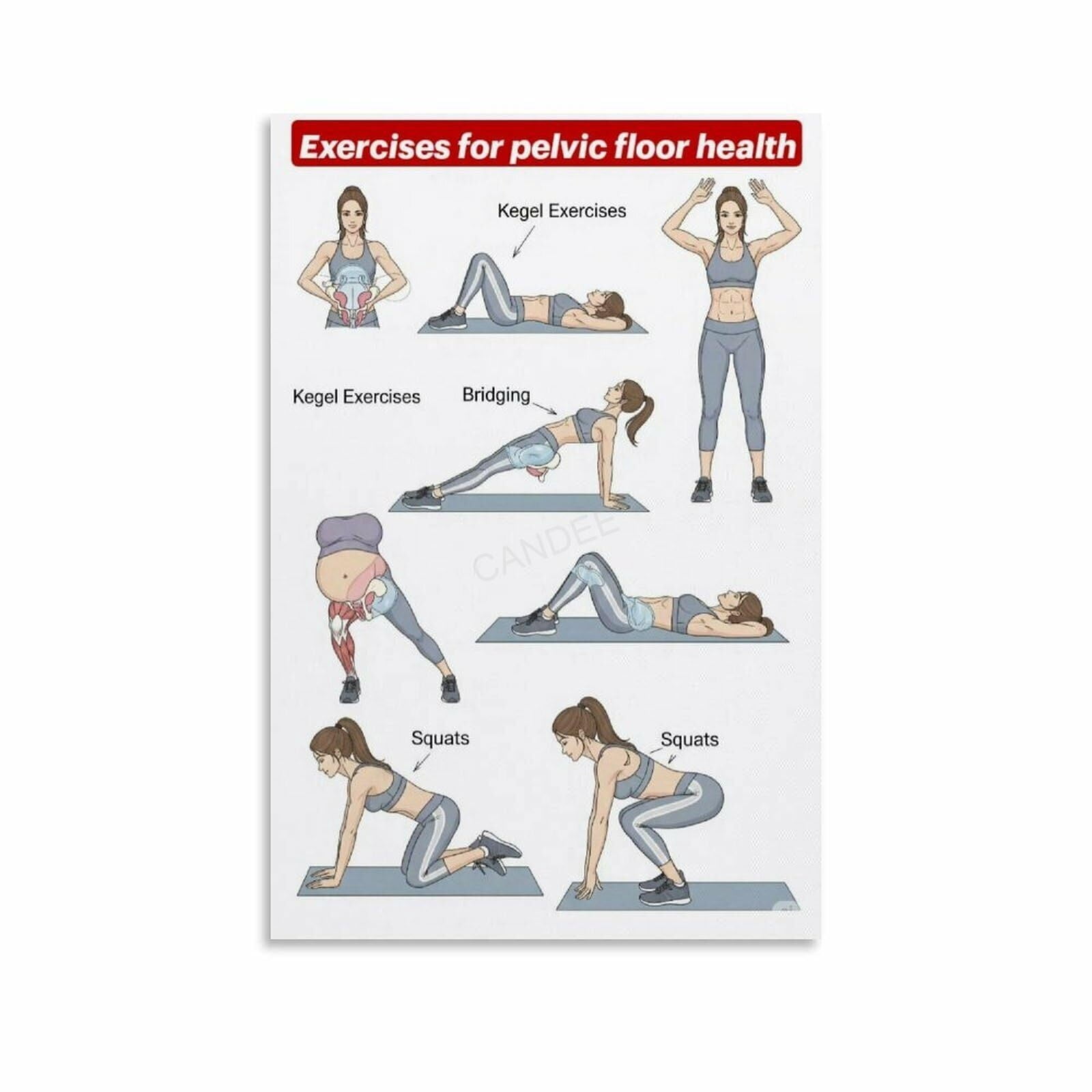 Pelvic Floor Health Guide Poster Recovery Tips for Bladder Control Home ...