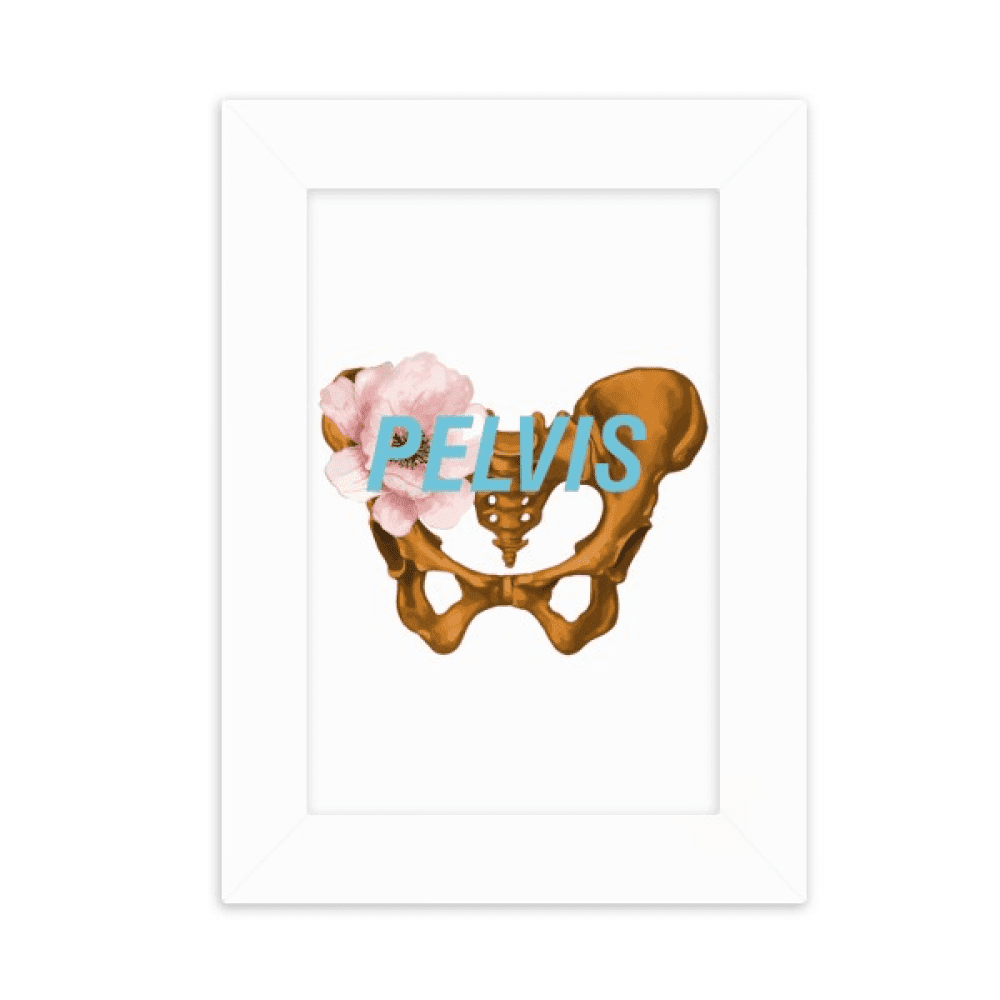 Pelvic Flower ing Art Deco Fashion Desktop Photo Frame Picture Display ...