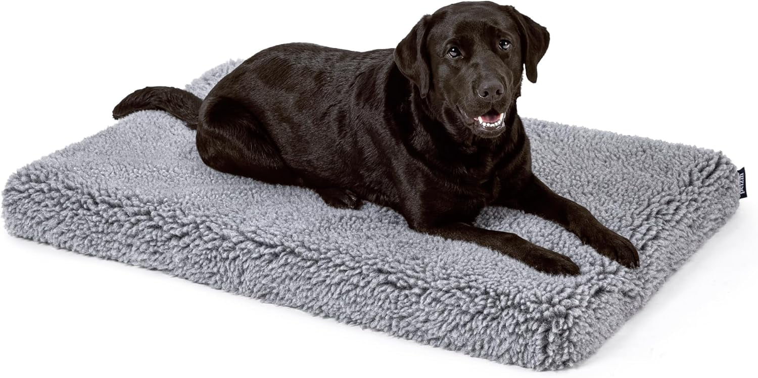Pelzin Stoutwool 4" Indestructible Dog Bed - Orthopedic Chew Proof Dog ...