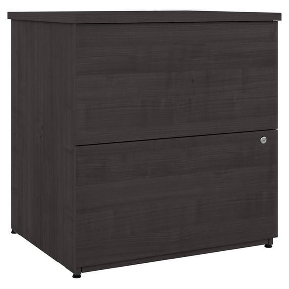 Pemberly Row 2-Drawer Engineered Wood Lateral File Cabinet in Charcoal ...