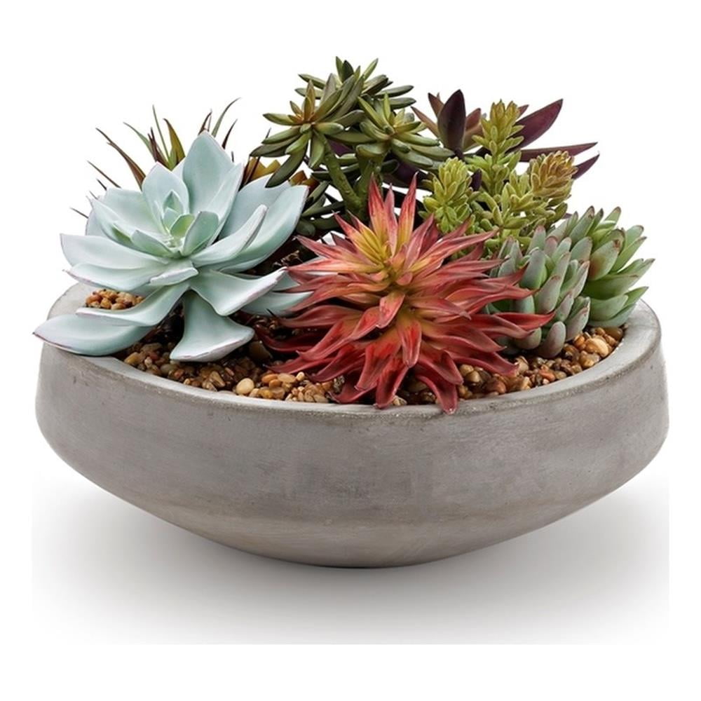 Pemberly Row Assorted Succulents in Grey Newport Bowl with River Rock ...