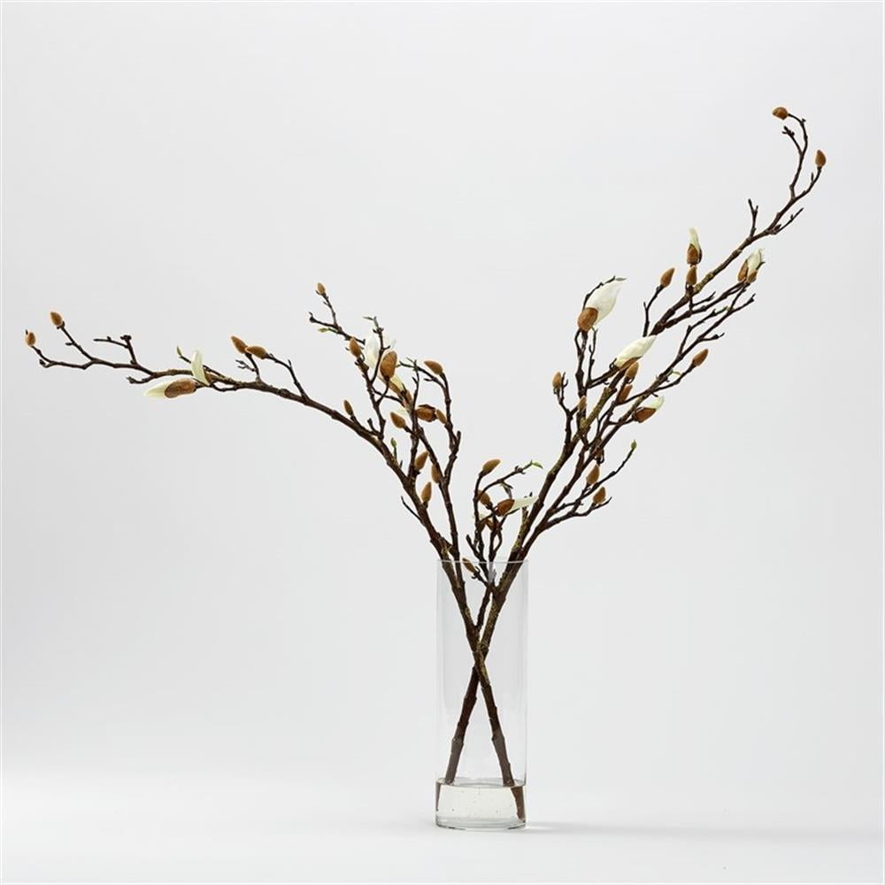 Pemberly Row Contemporary Budding White Magnolia Stems in Cylian Vase ...