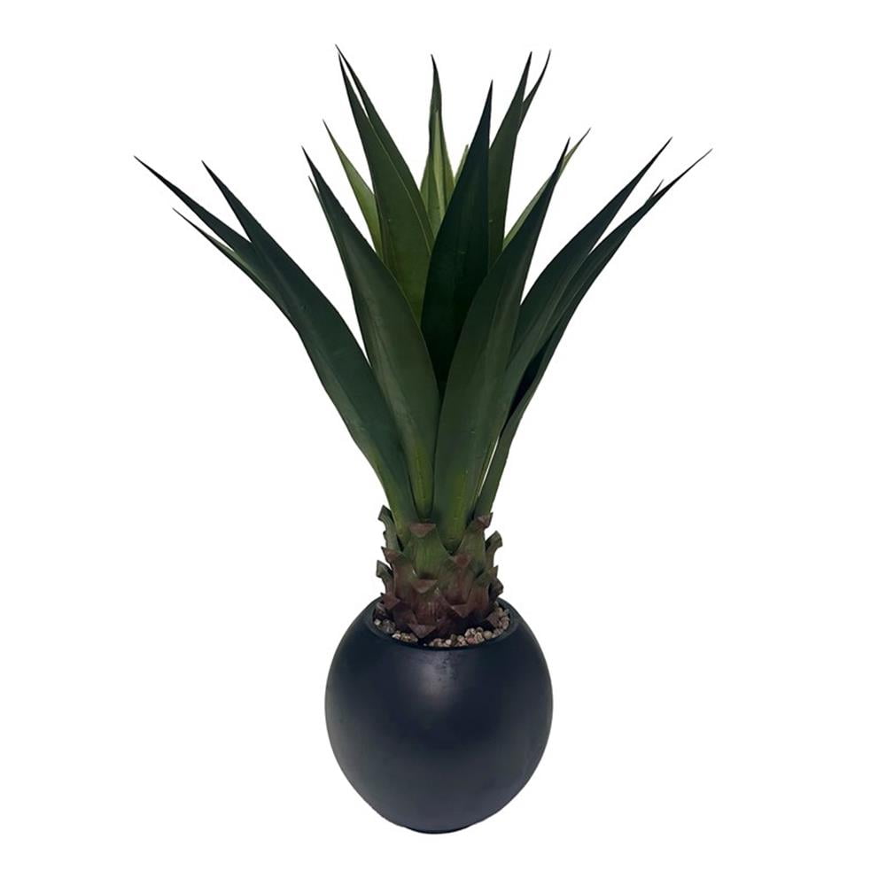 Pemberly Row Contemporary Jumbo Agave Plant in Black Porter Planter ...