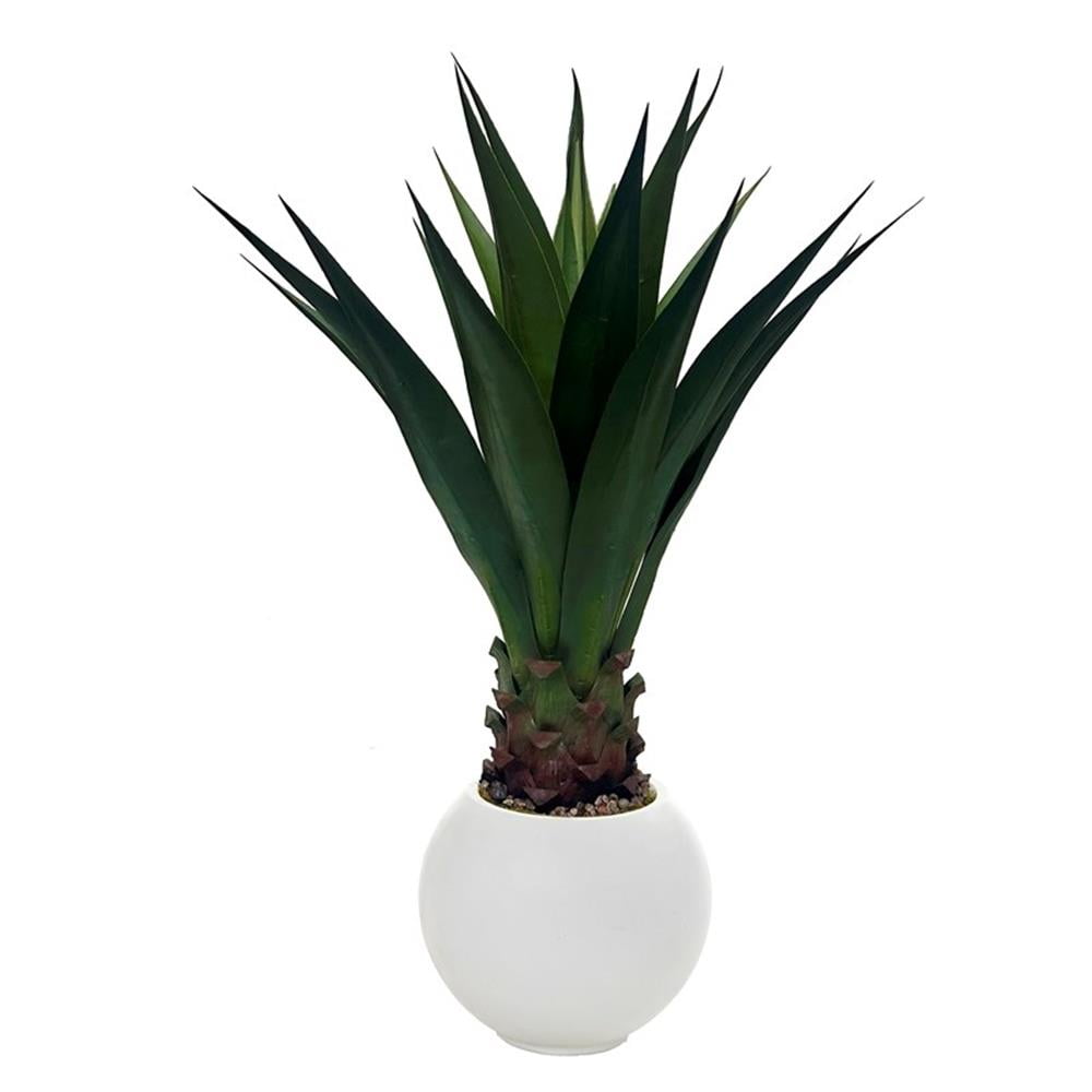 Pemberly Row Contemporary Jumbo Agave Plant in White Porter Planter ...