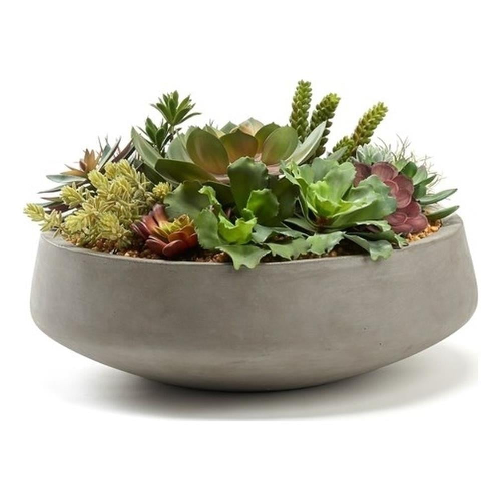 Pemberly Row Contemporary Mixed Succulents in Extra-Large Grey Newport ...