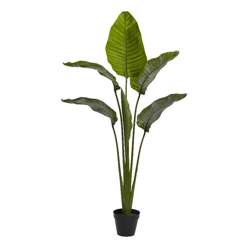 Pemberly Row Indoor/Outdoor 60" Travelers Palm Tree UV Resistant ...