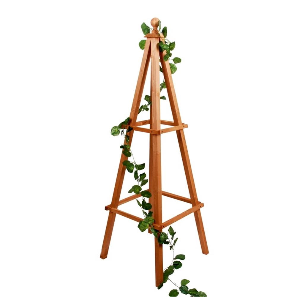 Pemberly Row Medium Obelisk Trellis for Climbing Vines - Flowers ...