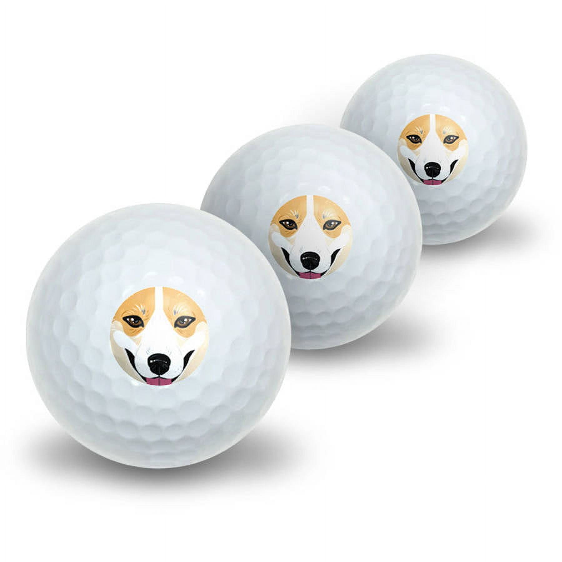 Pembroke Welsh Corgi Face Dog Pet Novelty Golf Balls, 3pk - Walmart.com