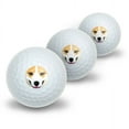 Pembroke Welsh Corgi Face Dog Pet Novelty Golf Balls, 3pk - Walmart.com
