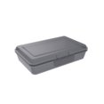 Pen+Gear Lightweight Plastic Pencil Box with Snap-on Lid, Translucent ...