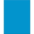 Pen+Gear Poster Board, 22 in x 28 in, Heavyweight, Blue, 1 Sheet ...