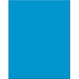 Pen+Gear Poster Board, 22 in x 28 in, Heavyweight, Blue, 1 Sheet ...