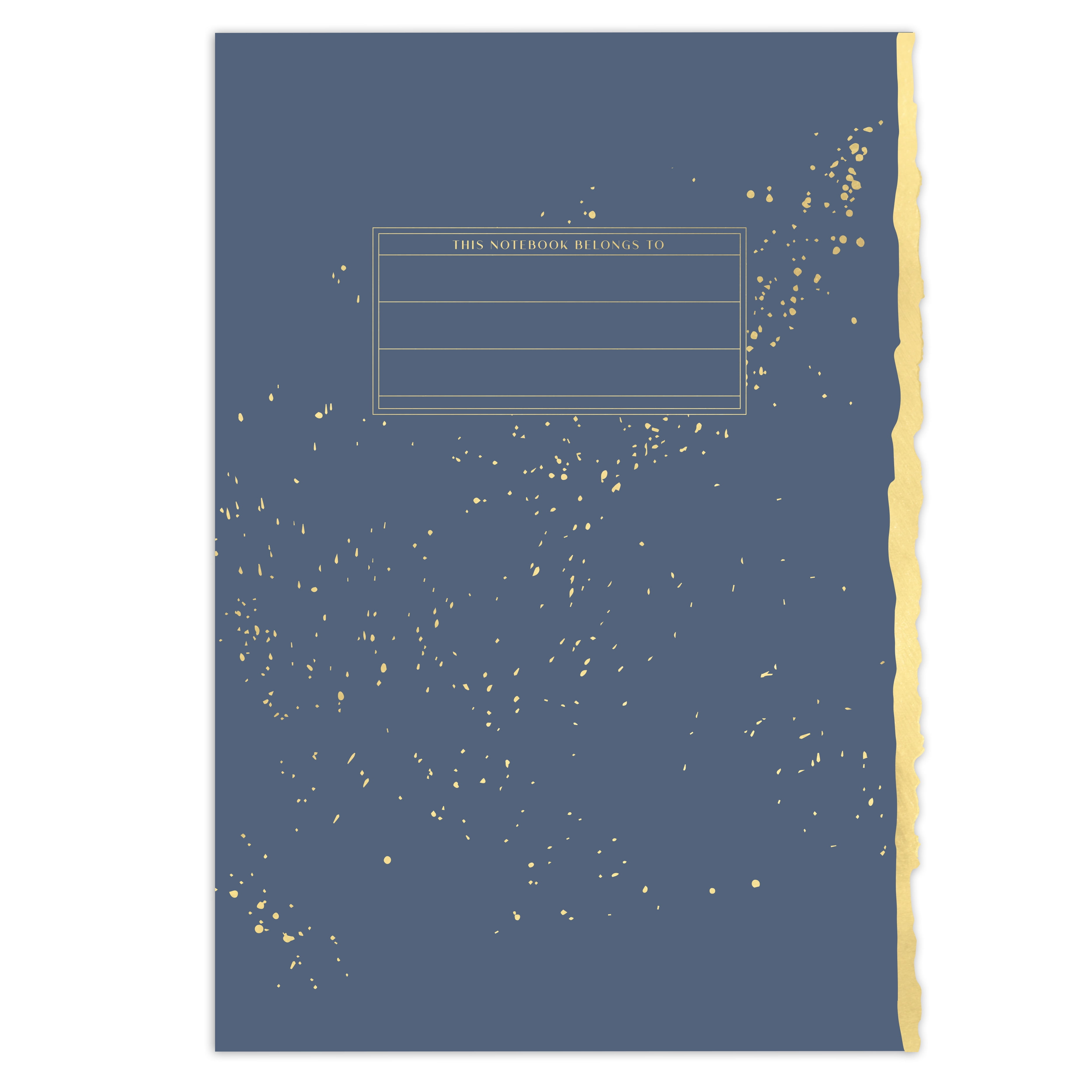 Pen and Gear Ruled Speckled Notebook Journal, Blue, 7" x 10", 120 Pages ...