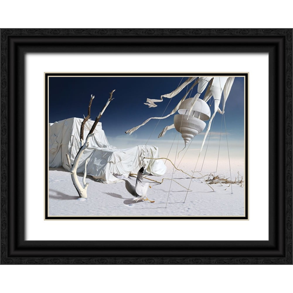 Penchev, Radoslav 18x14 Black Ornate Wood Framed with Double Matting ...