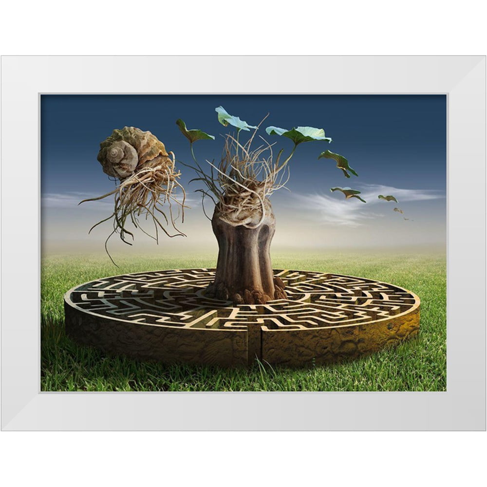 Penchev, Radoslav 18x14 White Modern Wood Framed Museum Art Print ...