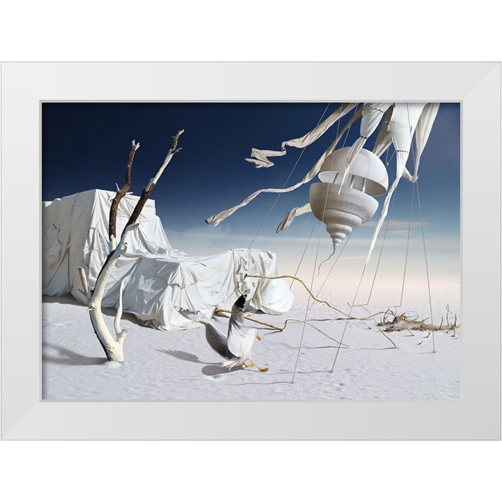 Penchev, Radoslav 18x14 White Modern Wood Framed Museum Art Print ...