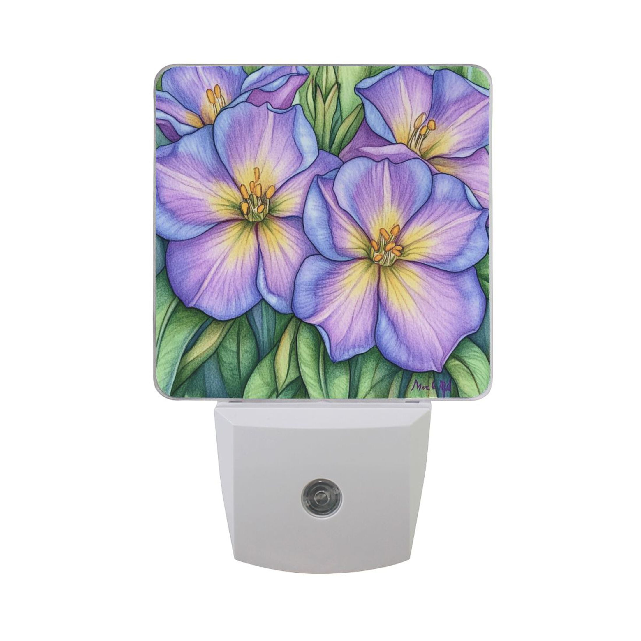 Pencil Drawing Flower Night Light 2 Pack LED Nightlight Plug into Wall ...