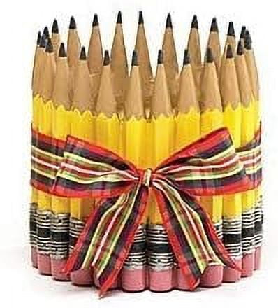 Pencil Shape Planter/Vase for Teacher,Classroom, Student, Home ...