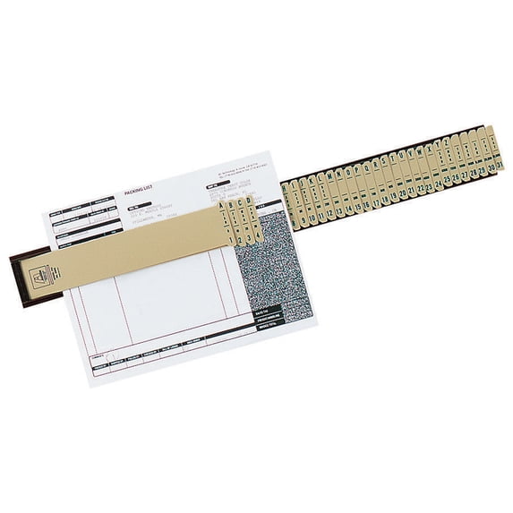 Pendaflex, Plastic Sort-All, 40652, Letter Size with 31 Tabs - Walmart.com