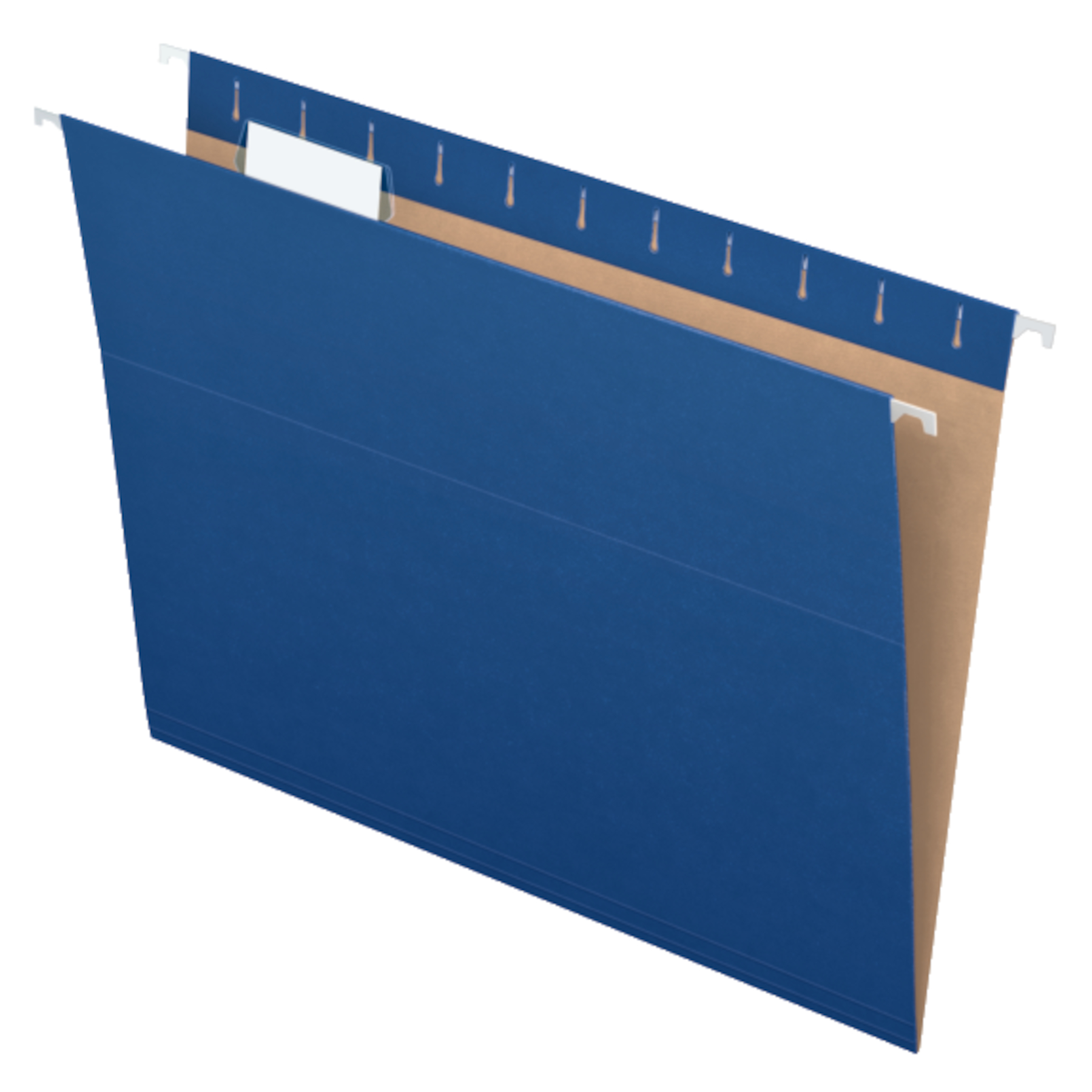 Rexel Nyrex Cut Flush Folder P - Walmart.com