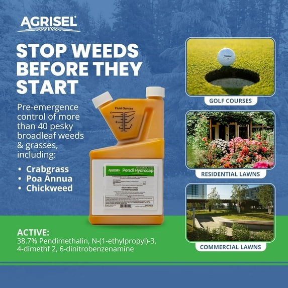 Pendi Hydrocap Weed Killer, Pre-Emergent Formula, Effective on 40 ...