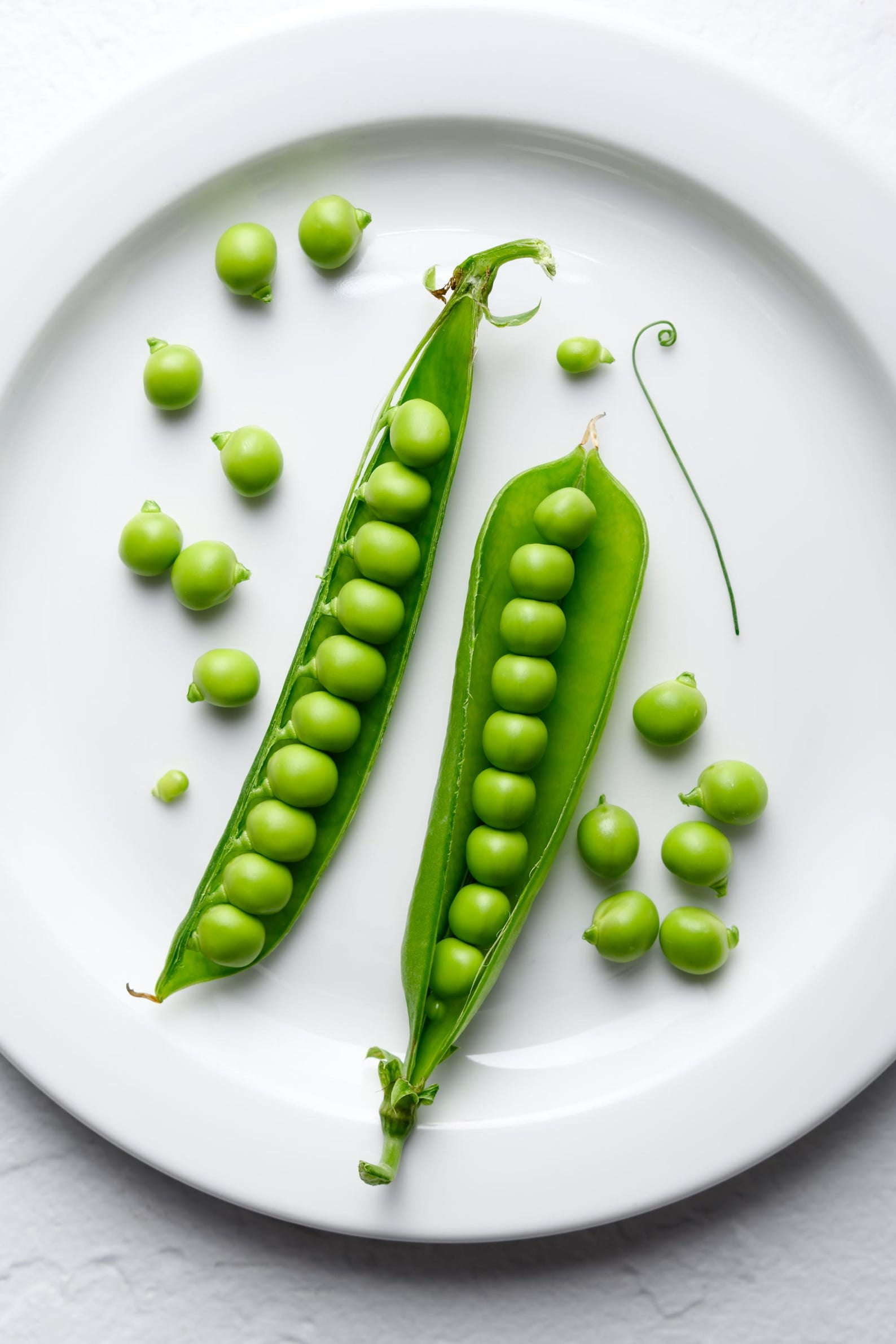 Penelope Pea Peas Stir Fry Seed Packet - Walmart.com