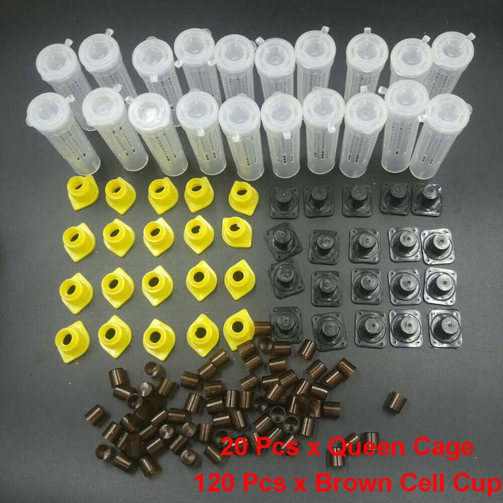 Pengug 1 Set Bees Tools Cages King Queen Apicultura Kit Complete Nicot ...