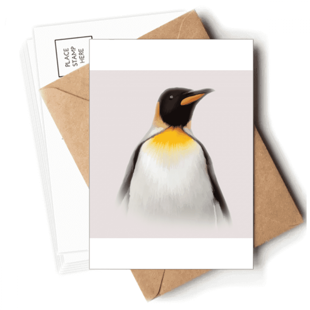 Penguin Chest Overlook South Pole Postcards Envelopes Blank Note Cards ...