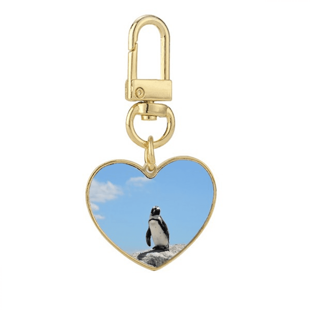 Penguin Ocean Antarctic Science Nature Picture Gold Heart Keychain ...