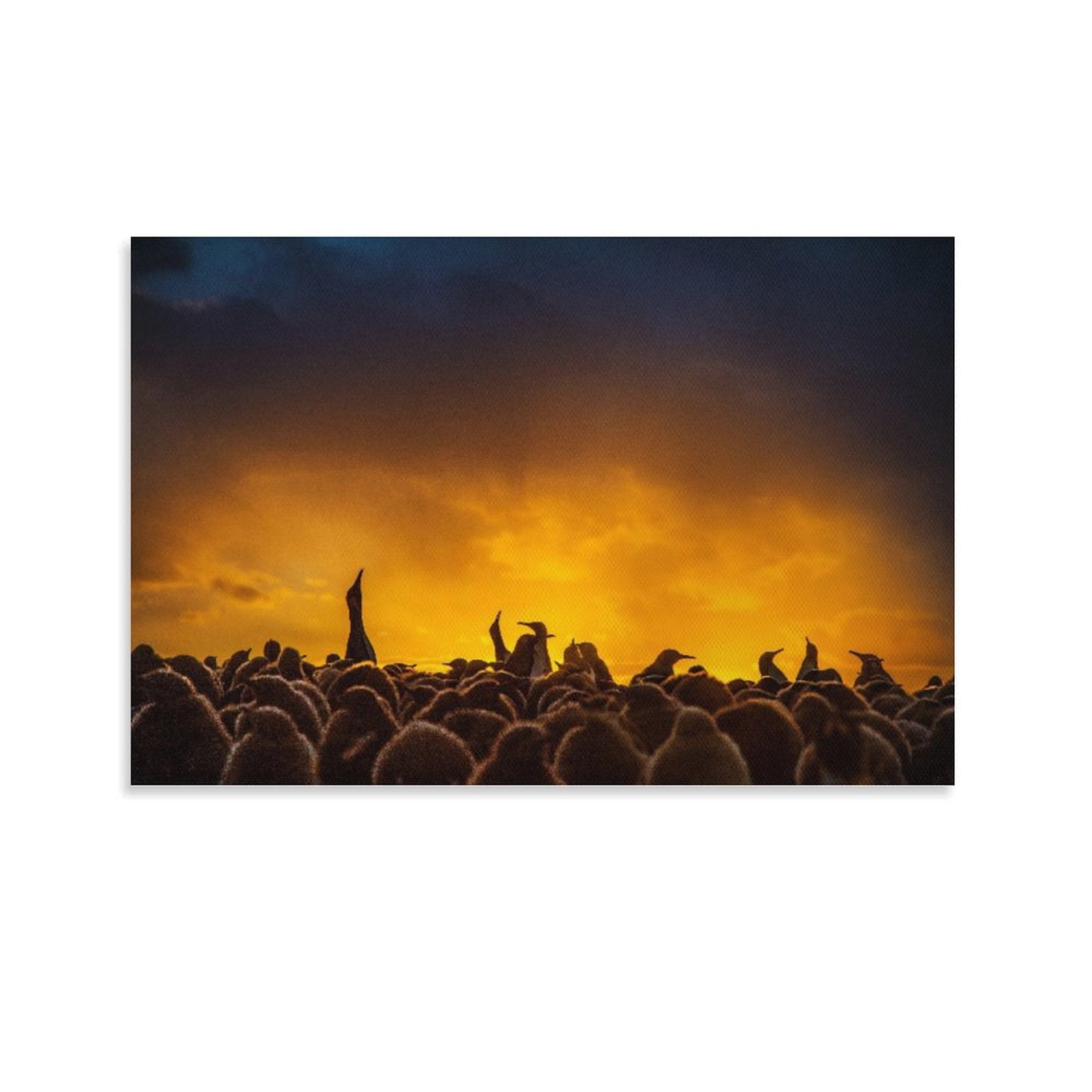 Penguin Silhouettes Against Fiery Sunrise Sky Canvas Art Poster And ...