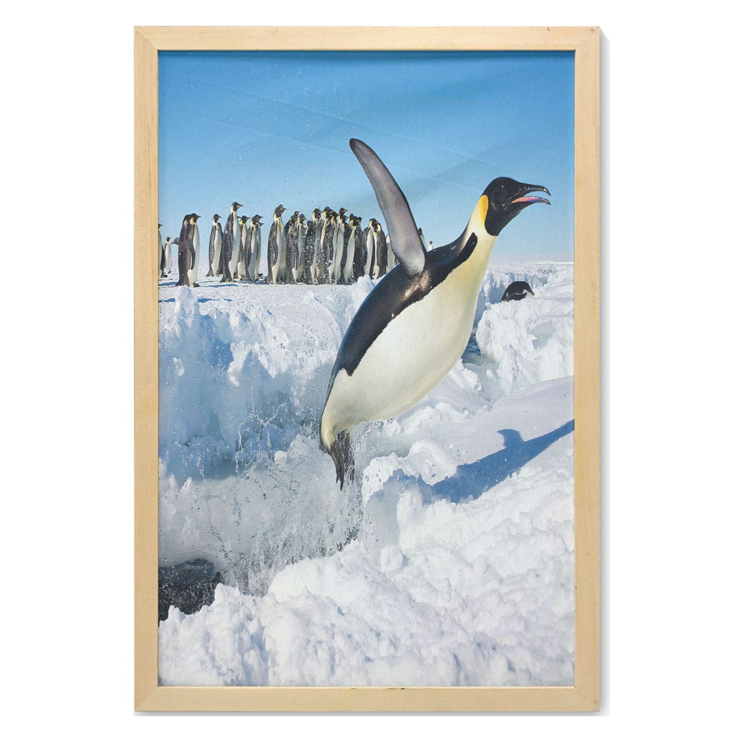 Penguin Wall Art with Frame, Penguins Pole Wildlife Swimming Flying ...