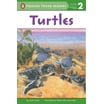 Sea Turtles (Paperback) - Walmart.com