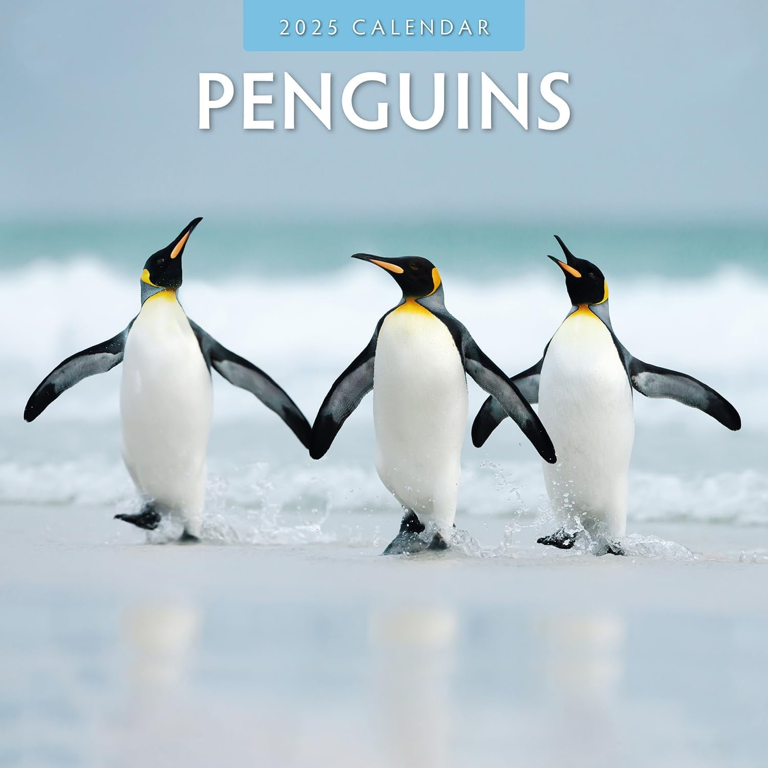 Penguins 2025 Square Wall Calendar - Walmart.com
