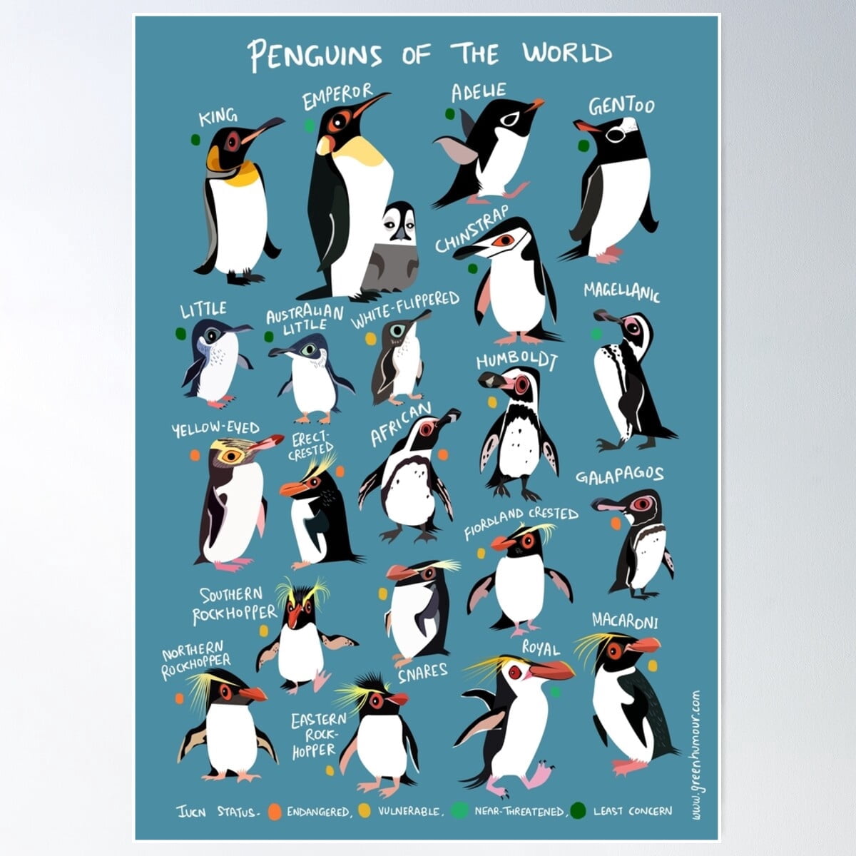 Penguins Of The World Poster Wall Art, UNFRAMED PAPER POSTER, Home ...