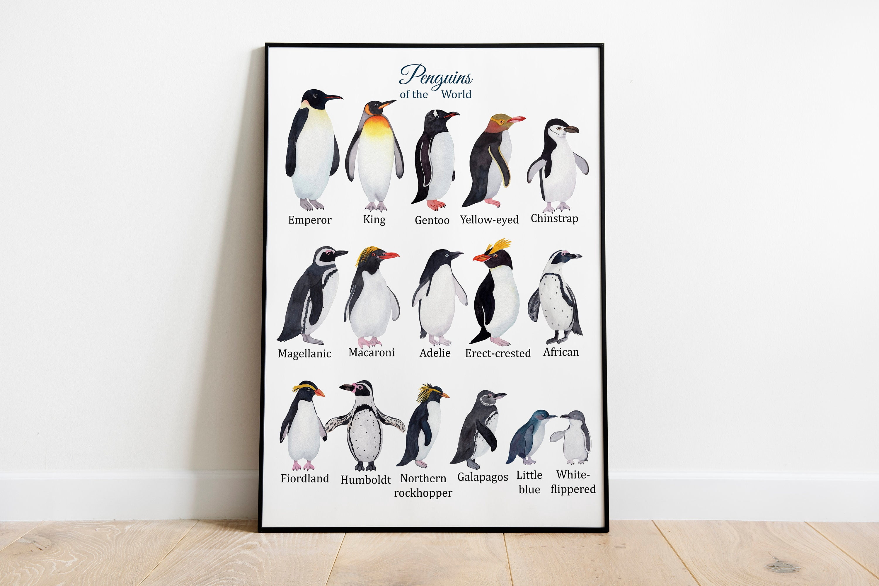 Penguins Poster, Educational Poster, Types of Penguins printables, King ...