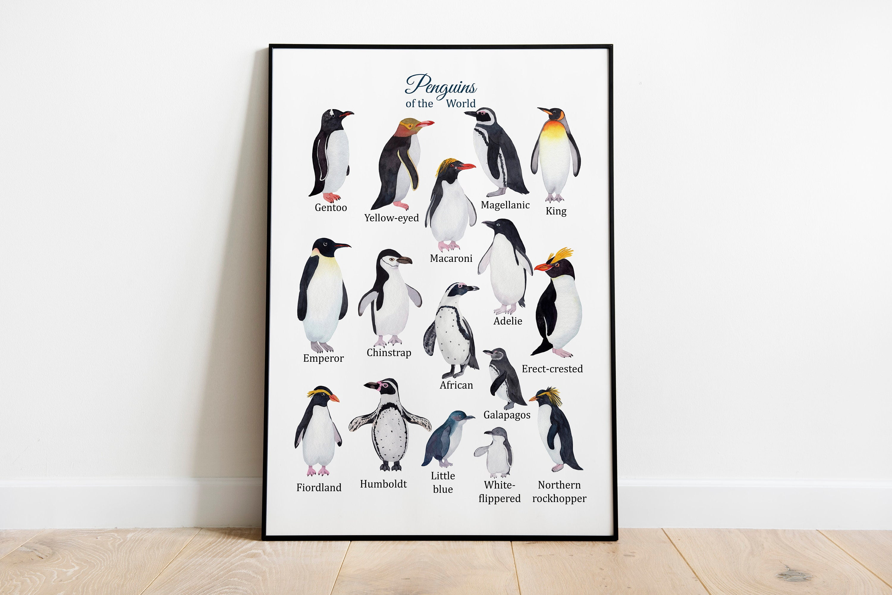 Penguins species Poster, Educational Poster, Types of Penguins ...