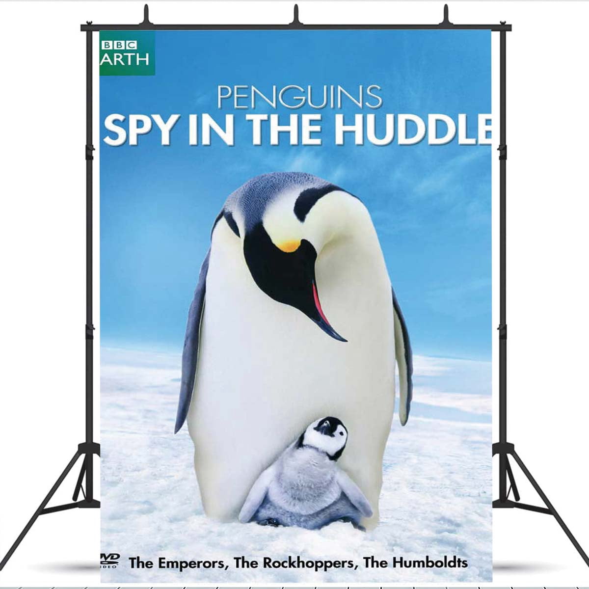 Penguins spy in the huddle school Backdrop Background Banner Birthday ...