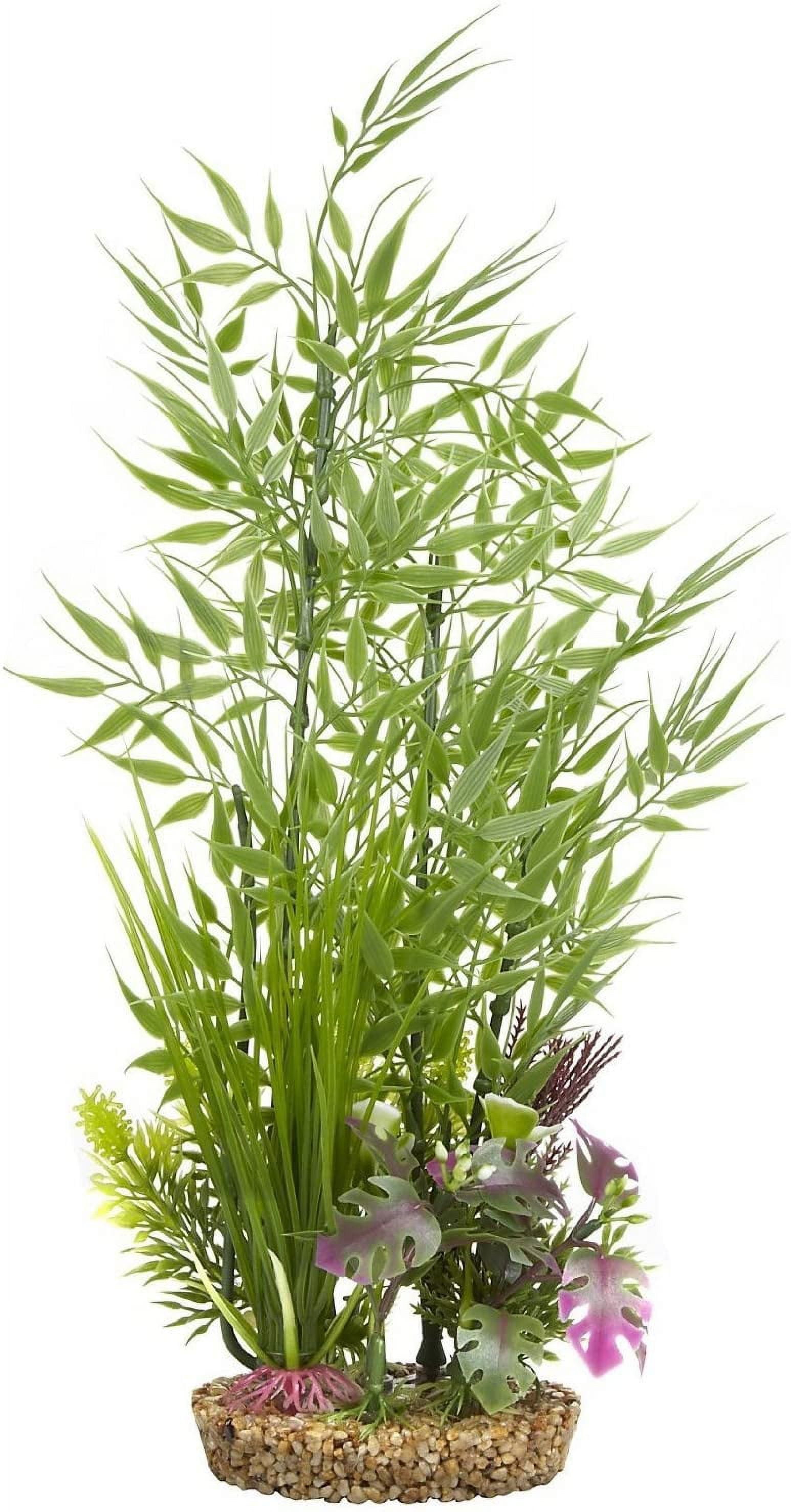 Penn-Plax Aqua Jungle Pod (Style 6) - Large Decorative Aquarium Plant ...