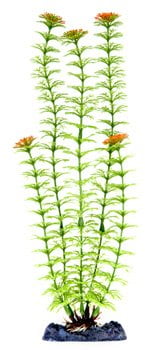 13" Ambulia - Walmart.com