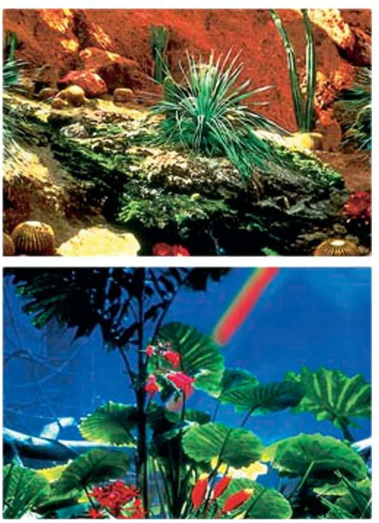 Penn-Plax Cactus Garden/Rainforest Aqaurium Background Decor - Walmart.com