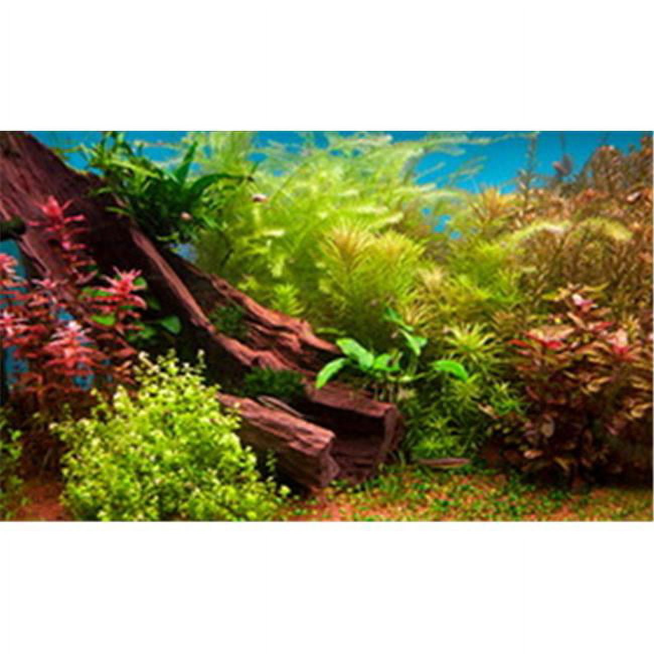 Penn Plax LB6 Lenticular Background 10g Fresh Water 3d Depth - Walmart.com