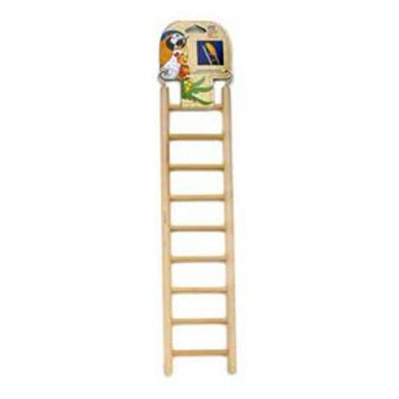 Penn Plax Natural Wooden Ladder for Birds - Walmart.com